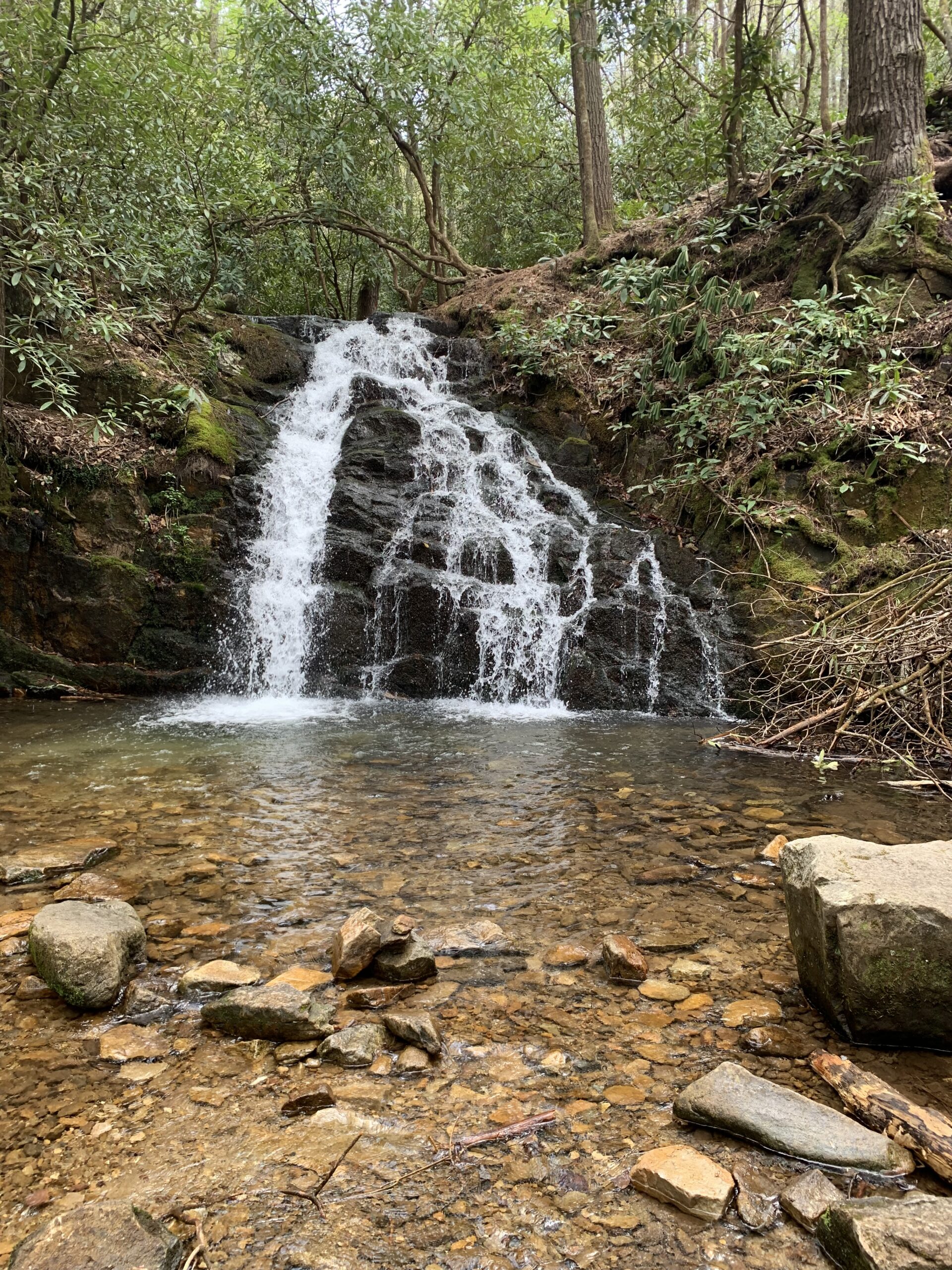 Martin Creek Falls - Steffan 'Splorin